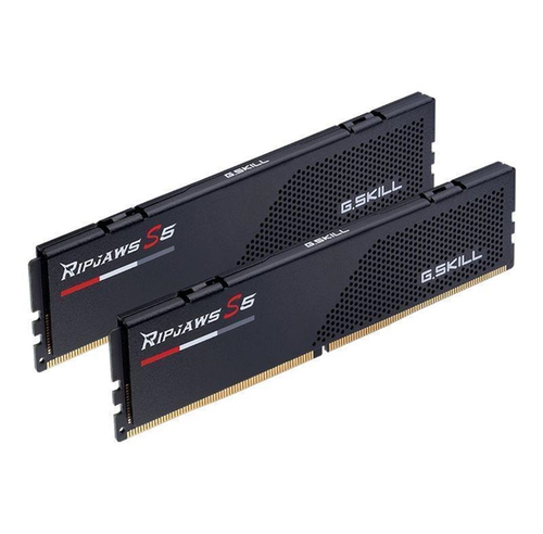 DDR5 96GB PC 5200 CL40 G.Skill KIT (2x48GB) 96-RS5W | Memory (RAM ...
